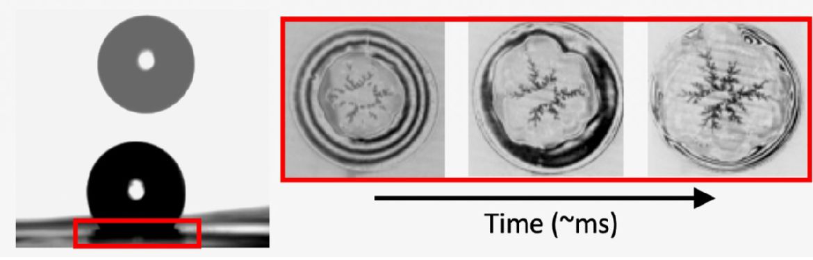 Filled… Fully Funded PhD Studentship Available – James Sprittles